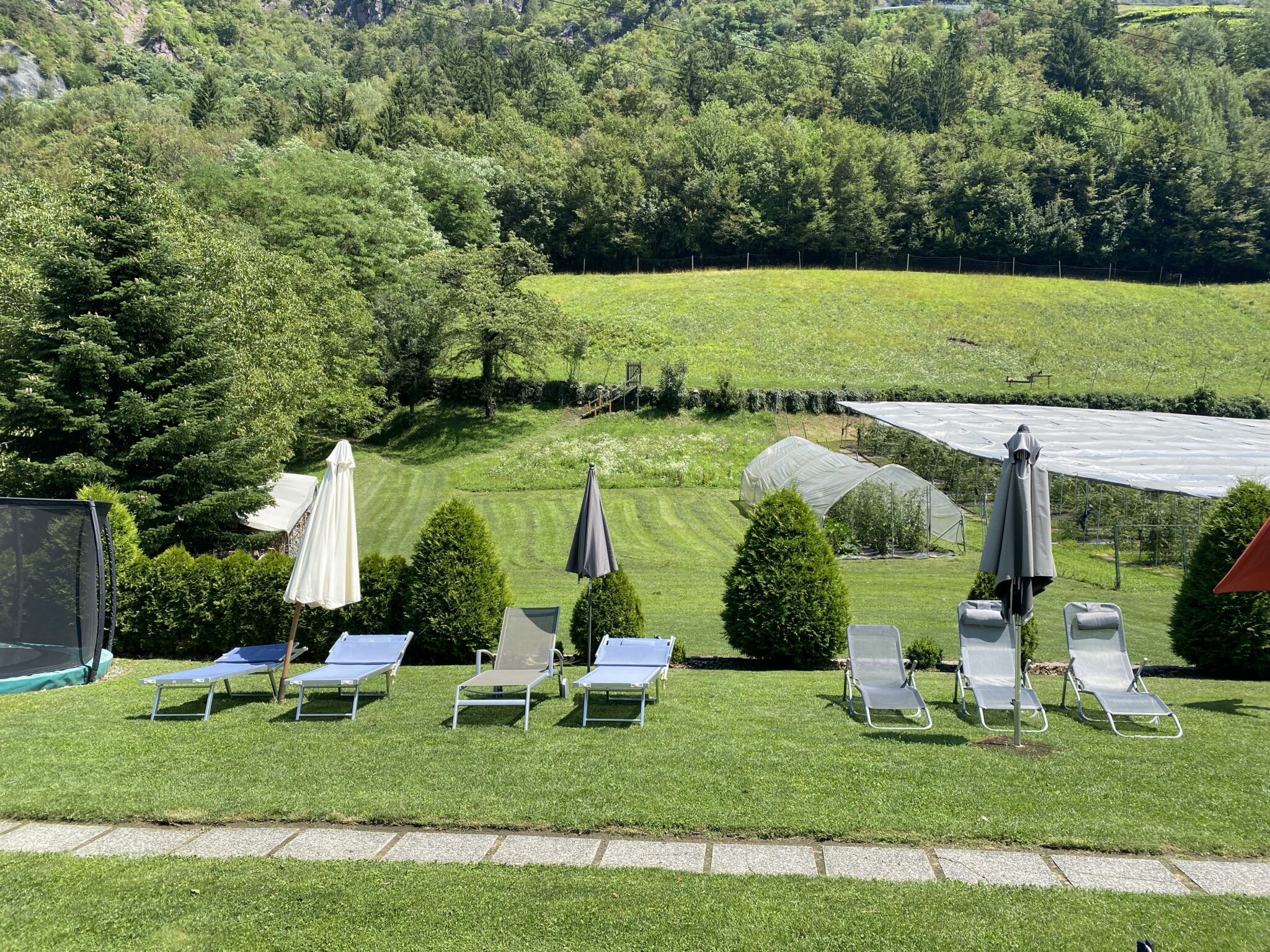 Garten Liegewiese - Koflerhof